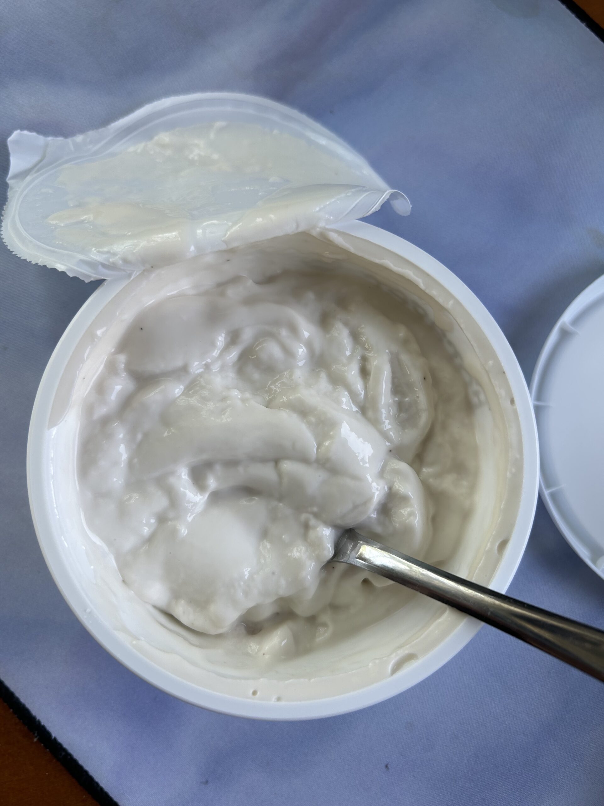 Forager Project Vegan Sour Cream Review | Exploring Vegan