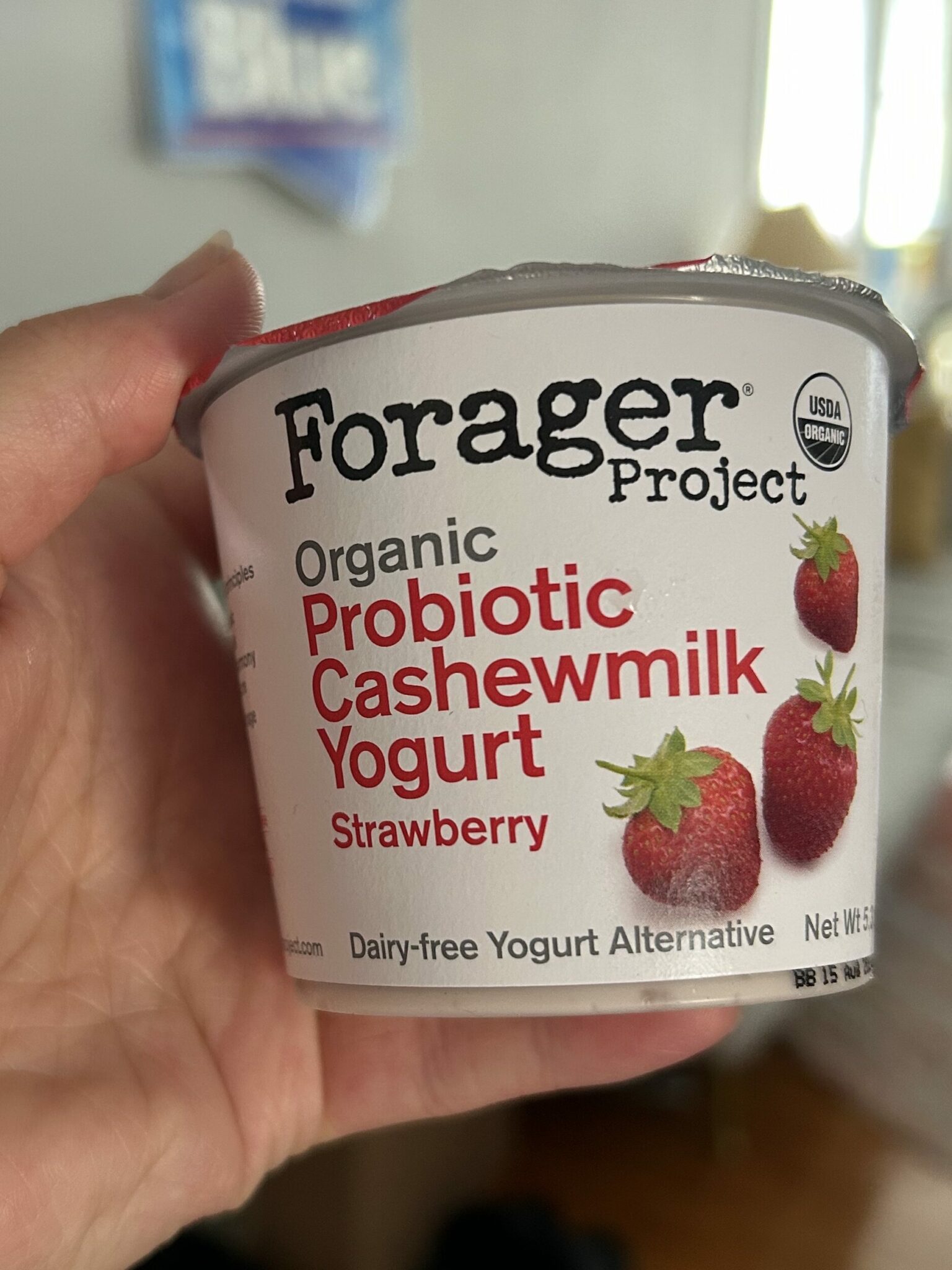 Forager Project Vegan Yogurt Review | Exploring Vegan