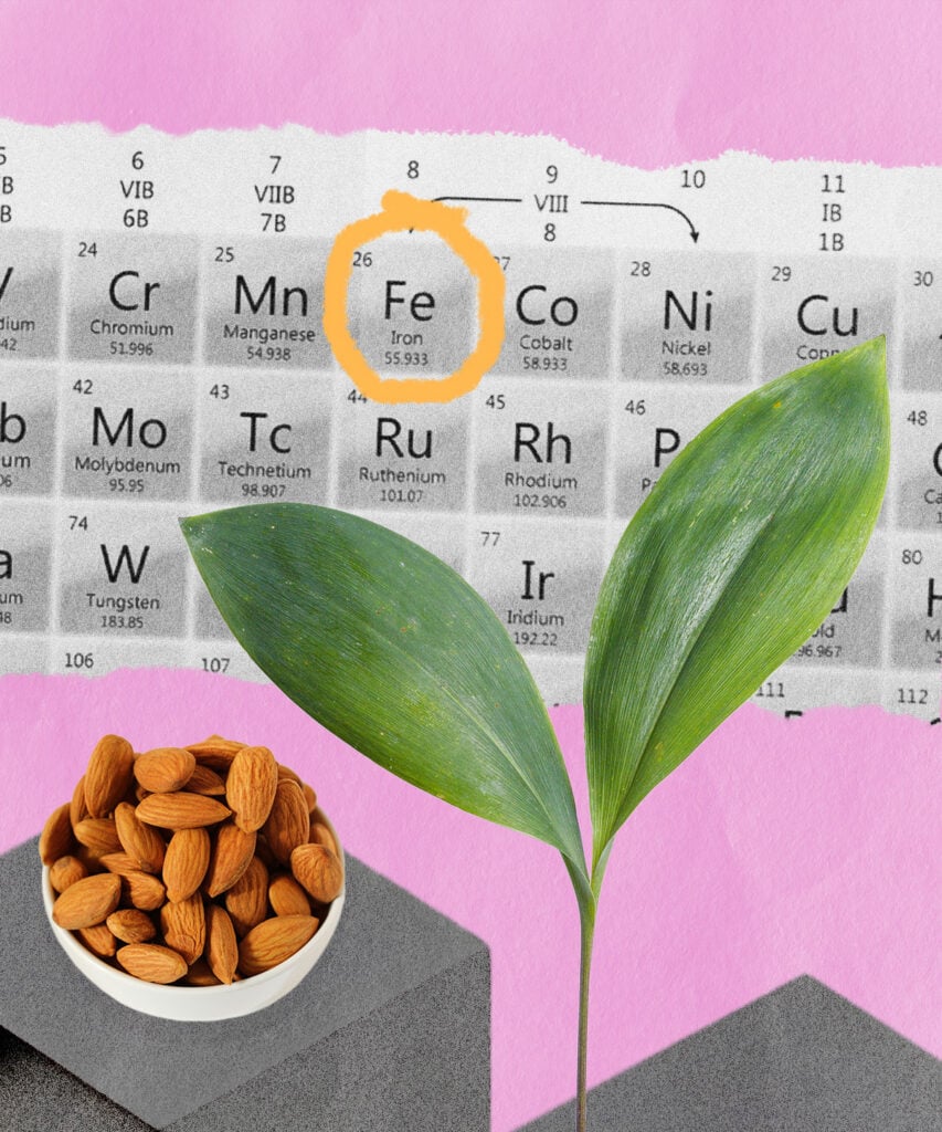 11 Iron-Rich Vegan Sources To Fortify Your Plant-Based Diet | Exploring Vegan